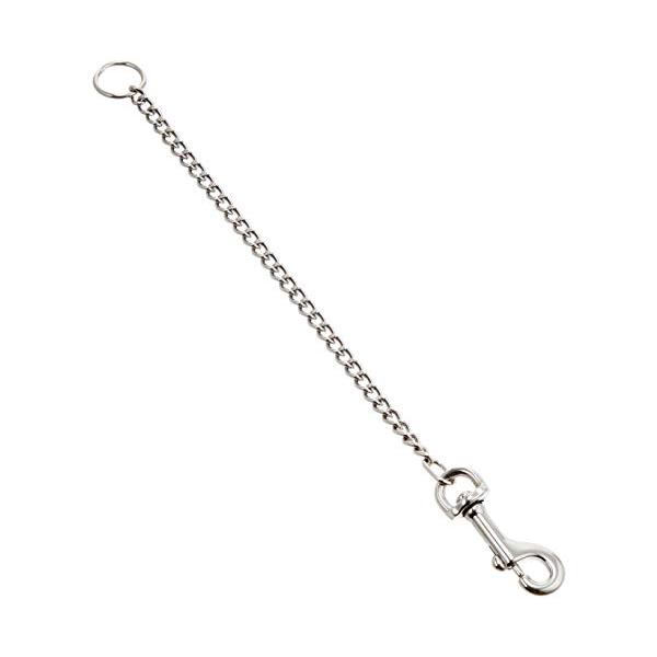 ・ステンレス #2.0 ・本体サイズ (幅X奥行X高さ) :3.5×20×2cm・   本体重量:0.048kg・   原産国:日本