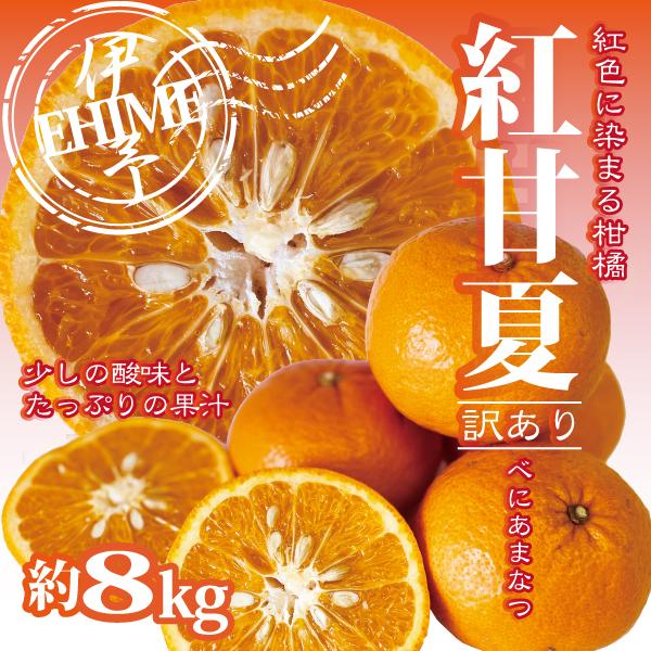 【発売日：2026年03月15日】甘夏の枝分かれ品種。紅色に染まる柑橘！スッキリとした味わいが楽しめる柑橘「紅甘夏」みかんの中でも3〜５月に旬を迎える夏みかんの一種。甘夏よりも甘く酸味がまろやかで、ひと粒ひと粒に果汁がたっぷり含まれているの...