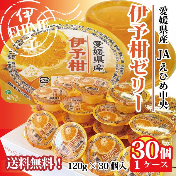 【発売日：2026年07月11日】伊予柑は愛媛を代表する柑橘の一つです愛媛県産伊予柑の甘みと風味そのままゼリーになりました！果肉・粒感もたっぷり感じられる贅沢ゼリー。[内容量]　120g×30個[原材料]　いよかん（愛媛県産）、砂糖・異性化...
