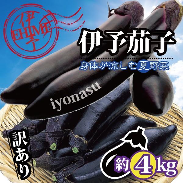 【発売日：2026年08月06日】瀬戸内の温暖な気候が育んだ特産品！夏野菜の代表「伊予なす」身体を冷やす作用があり、暑い夏には是非食卓に！愛媛県内で最も多く栽培されている「なす」特徴：【１】濃黒紫色でツヤツヤ、ピカピカのお肌。　　　【２】キ...