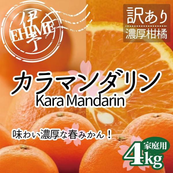 【発売日：2026年04月05日】味わい濃厚な春みかん「カラマンダリン」深みのあるオレンジの果肉！濃厚でジューシーな味わい！４月〜５月ごろまでしか味わえない希少みかん！「みかん」と「キングマンダリン」の交配によって生まれた柑橘。みかんを濃厚...
