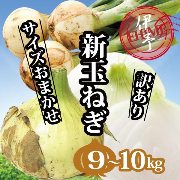 【発売日：2026年03月10日】春の味わい「新玉ねぎ」を愛媛からお届け！今しか味わうことのできない旬の味！どんな料理にも使えるキッチンの優等生！「新玉ねぎ」は収穫後すぐに出荷するため皮が薄く、実の水分が多くて柔らかいという特徴があります。...