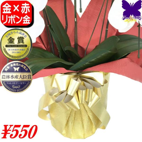 豪華 金ラッピング（単品での販売は出来ません）