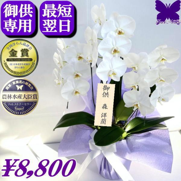 胡蝶蘭 お供え専用 白 3本立ち 18輪胡蝶蘭 お供え専用 白 2本立ち 14輪　※植物の為、個体差があります。■ラッピング　：　お供え用にラッピング致しますので、ご安心下さい。■立て札・メッセージカード・のし　：　いずれか1種類無料です。...