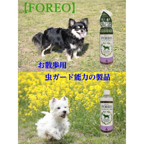 家族の一員 ワンちゃん お散歩用 ：【FOREO】本体350ml＆詰替え用 ２本セット          お散歩用：350ml　本体定価￥2,200　　　　詰替え用：350ml　　  定価￥1,980　　　　　　　　　　　　  定価合計￥4...