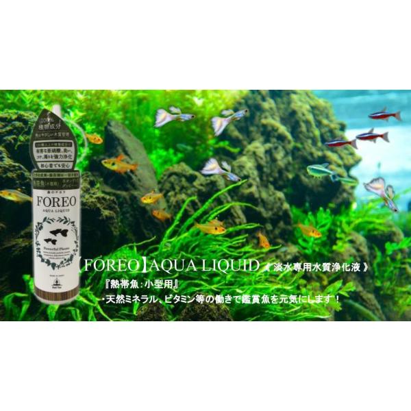 ◆熱帯魚 小型用・AQUA LIQUID【FOREO】：200ml   定価￥1,760　JAN : 4571152073496◆※新商品　水槽の消臭＆コケ抑制スプレー： Ａ ＆ C（アクア アンド クリーン）・250ml   定価￥1,6...