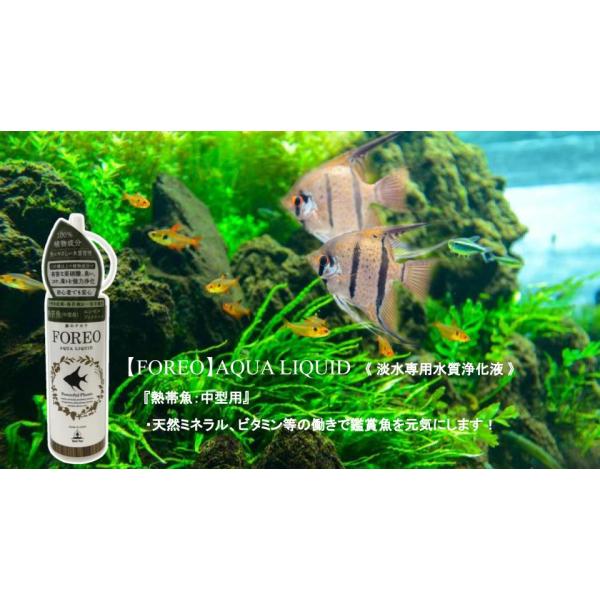 ・熱帯魚 中型用・AQUA LIQUID【FOREO】<br><br>   内容量 200ml　定価￥1,760<br><br>　　JAN：4571152073502・Ａ ＆　C（アクア アン...