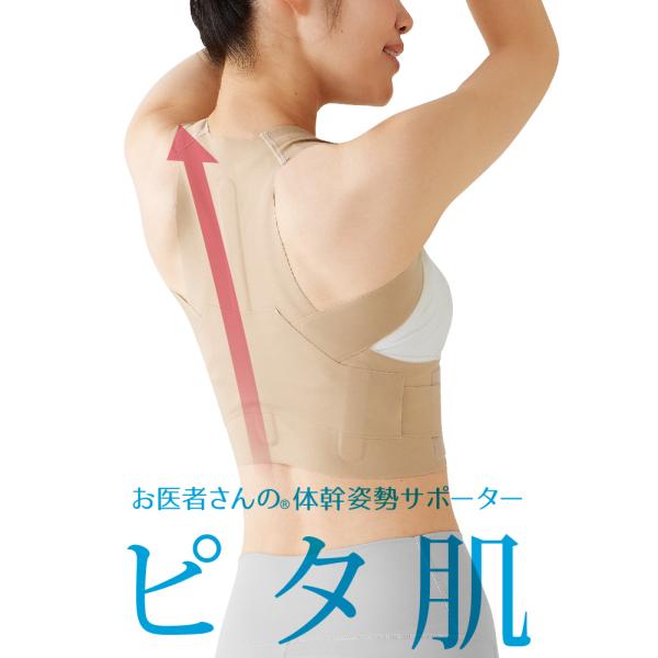 アルファックス 姿勢ベルト お医者さんの体幹姿勢サポーター ピタ肌 M-L 日本製 背筋ベルト 背中用 薄型 姿勢矯正 背筋補正 サポーター