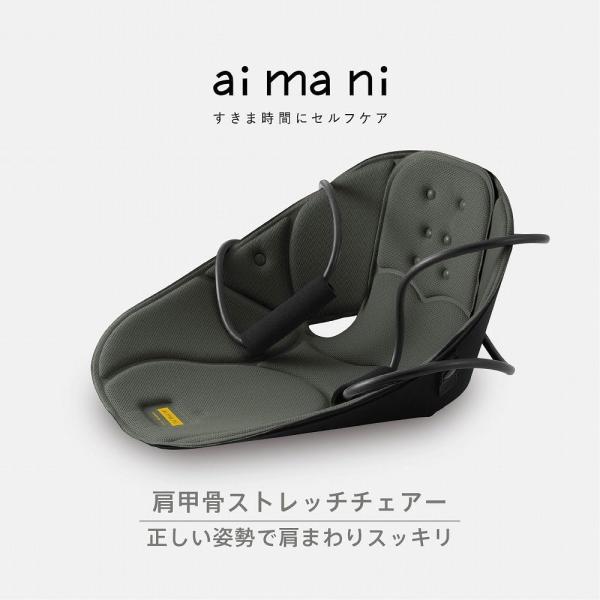 KING JIM キングジム aimani 肩甲骨ストレッチチェアー ディープグリーン 肩甲骨 ストレッチャー 肩甲骨はがし