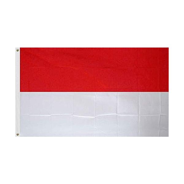 □サイズ：90cm×150cm□素材：ポリエステルF1ではモナコ人初のドライバー、シャルル・ルクレールの応援に最適です。スポーツ観戦から料理店まで幅広く御愛用をいただいております。ポリエステルですので雨等の耐久性にも優れております。このフラ...