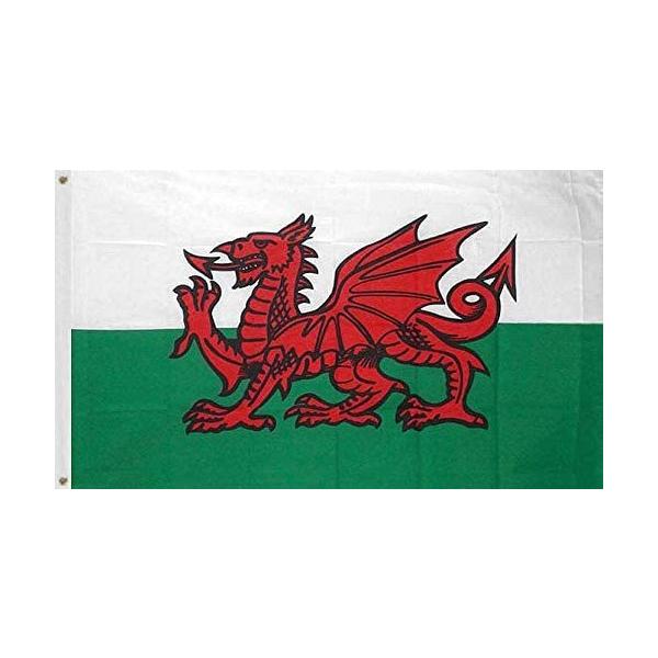 □素材：ポリエステル□サイズ：90cm×150cmフラッグの縁には紐を通すリングが設けられています。ラグビーの強豪国ウェールズの応援フラッグです。ポリエステルですので雨風にも強く、寒い時には羽織れば暖を取るのに役立ちます。