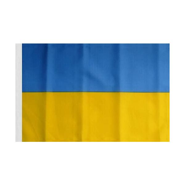 通常価格 ￥1,500(税込) → 半額セール ￥750(税込)□サイズ：30cm×45cm□素材：ポリエステル縁にはスティックを通せるように袋縫いになっています。御要望にお応えしまして少量入荷致しました。イベントからスポーツ応援まで幅広く...