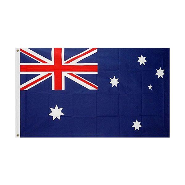 □サイズ：90×150cm□素材：ポリエステル□フラッグ端上下にリング穴あり。棒・紐は付属しません。□関連ドライバー/ダニエル リカルド観戦必須アイテム！振っても、羽織ってもOK♪