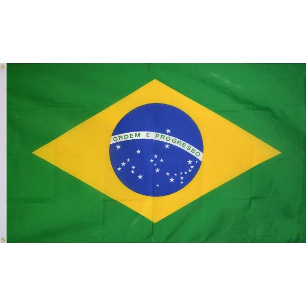 □サイズ：90×150cm<br>□素材：ポリエステル<br>□フラッグ端上下にリング穴あり。棒・紐は付属しません。<br><br>チーム 観戦必須アイテム！振っても、羽織ってもOK♪