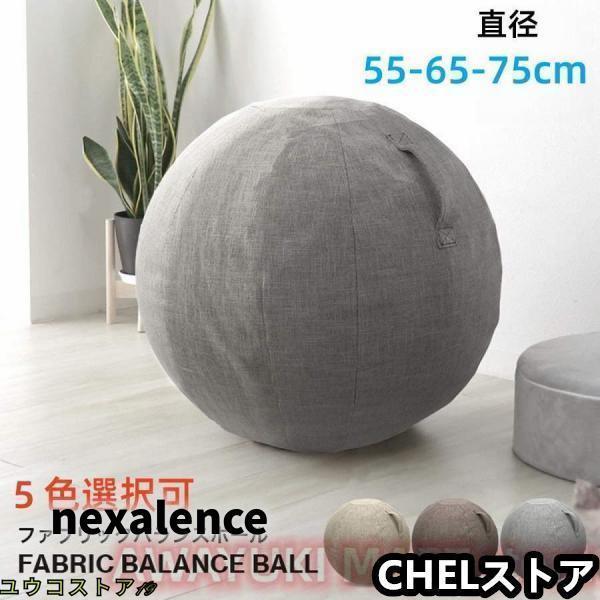 バランスボール 55cm 65cm 75cm 洗えるカバー付 体幹トレーニング フィットネス エクササイズ 筋トレ ダイエット デスクチェア 椅子