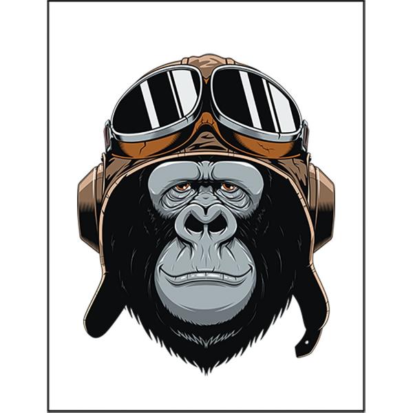 紙質：マットサイズ：100mm x 148mm