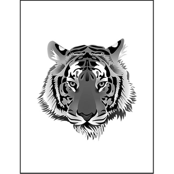 紙質：マットサイズ：100mm x 148mm