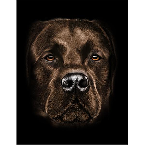 紙質：マットサイズ：100mm x 148mm