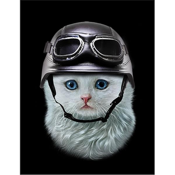 紙質：マットサイズ：100mm x 148mm