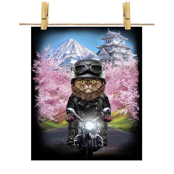 紙質：マットサイズ：100mm x 148mm