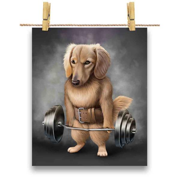 紙質：マットサイズ：100mm x 148mm