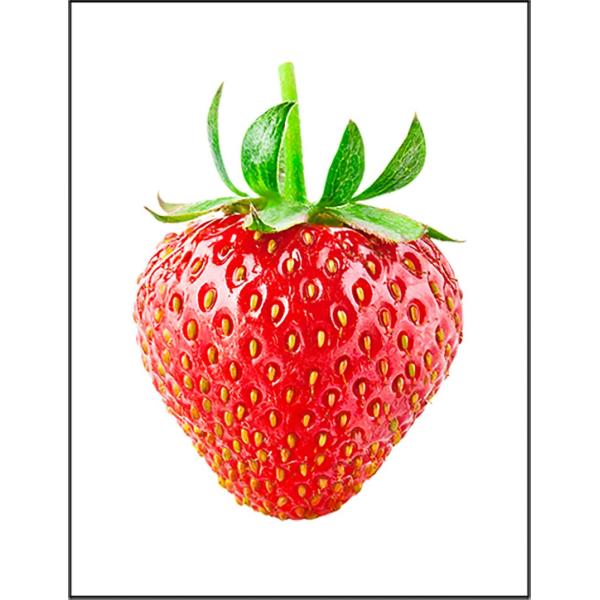 foxrepublic_postcard-fruits2 foxrepublic_postcard-fruits2