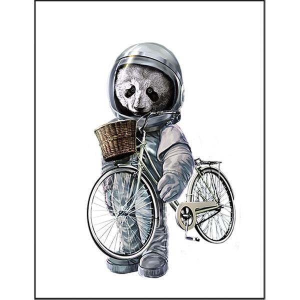 紙質：マットサイズ：100mm x 148mm