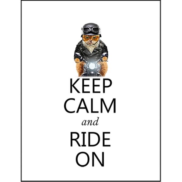 紙質：マットサイズ：100mm x 148mm