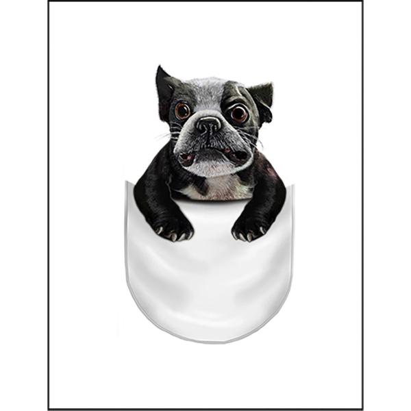 紙質：マットサイズ：100mm x 148mm