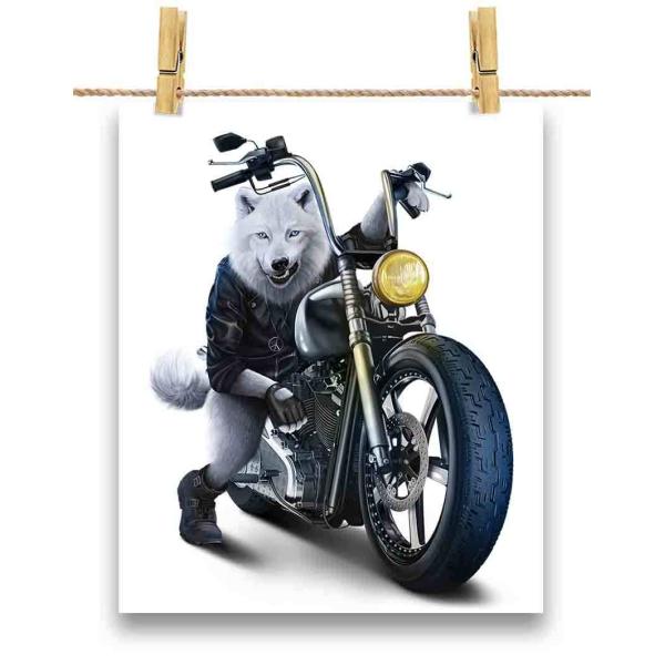 foxrepublic_poster-a4-biker15 foxrepublic_poster-a4-biker15