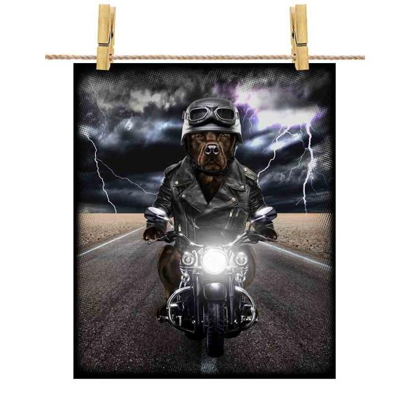 【各サイズの詳細】A1 : 594 mm x 841 mmA2 : 420 mm x 594 mmA3 : 97 mm x 420 mmA4 : 210 mm x 297 mm