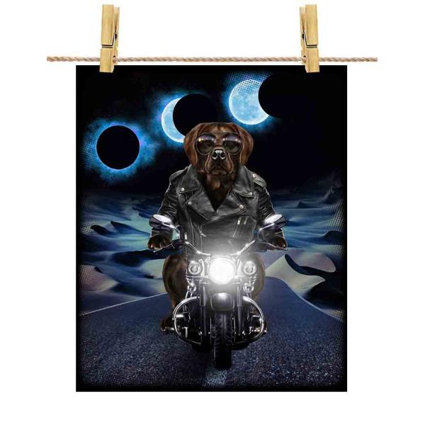 【各サイズの詳細】A1 : 594 mm x 841 mmA2 : 420 mm x 594 mmA3 : 97 mm x 420 mmA4 : 210 mm x 297 mm