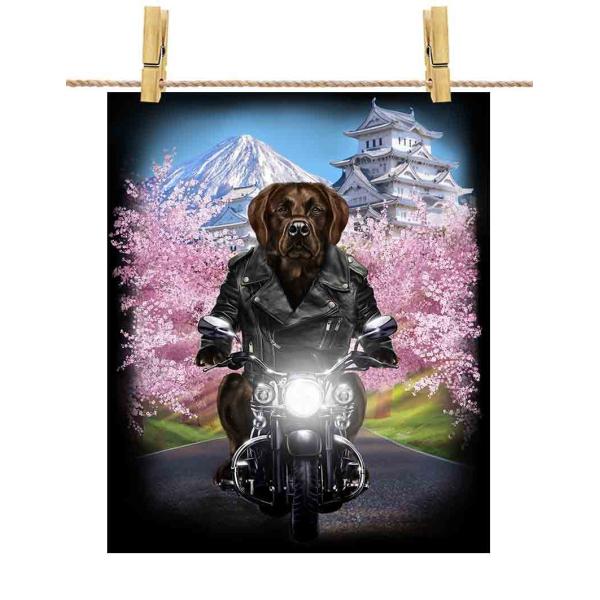 【各サイズの詳細】A1 : 594 mm x 841 mmA2 : 420 mm x 594 mmA3 : 97 mm x 420 mmA4 : 210 mm x 297 mm