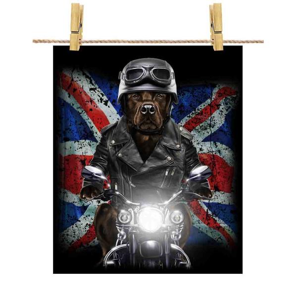 【各サイズの詳細】A1 : 594 mm x 841 mmA2 : 420 mm x 594 mmA3 : 97 mm x 420 mmA4 : 210 mm x 297 mm