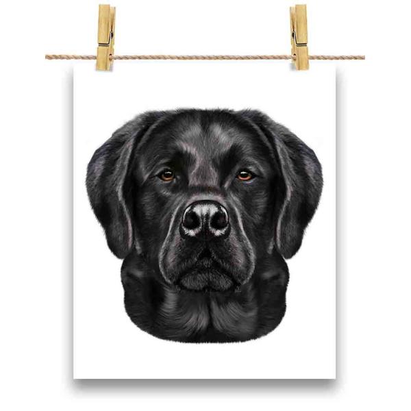 【各サイズの詳細】A1 : 594 mm x 841 mmA2 : 420 mm x 594 mmA3 : 97 mm x 420 mmA4 : 210 mm x 297 mm