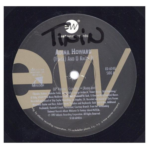 製造国 : US　　リリース年 : 1997　　レーベル : EASTWEST　　品番 : ED-6040　　　　ジャケ無・両面レーベルにマジックで書込有。スリ傷有るがプレイＯＫ。ヴォコーダー使いの人気盤！94年作で当時、大ヒットだったDr...