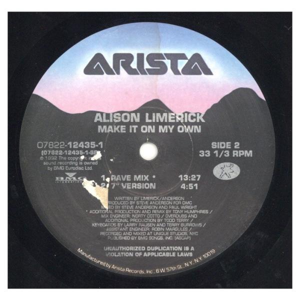 製造国 : US　　リリース年 : 1992　　レーベル : Arista　　品番 : 07822-12435-1　　　　B面ラベルに破れ有り。US Org。UK出身の女性シンガーが'92にリリースしたデビューアルバム"And Still ...