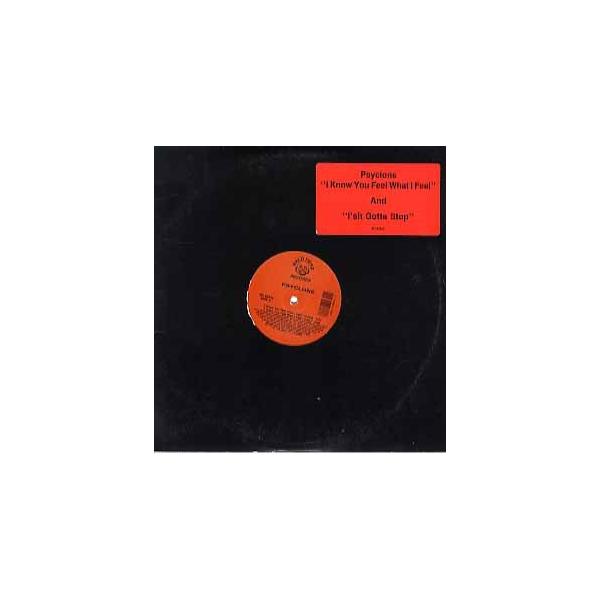 製造国 : US　　リリース年 : 1995　　レーベル : BALD HEAD RECORDS　　品番 : BH 69934　　　　'95定番Debarge"I Like It"のコーラスをサビで使って打込みもR&amp;Bっぽくインディ...