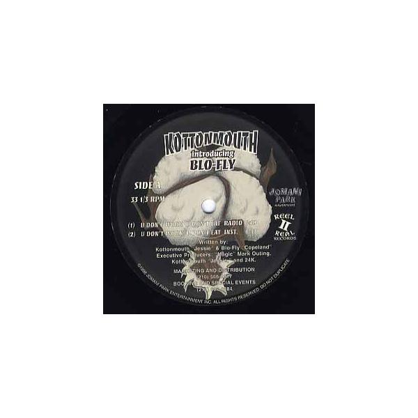 製造国 : US　　リリース年 : 1998　　レーベル : REEL II REAL　　品番 : LIH-3929　　　　Youngsta Records離脱後98年に怪人Blowflyを迎えシンプルなトラックに鐘の音とピ〜ヒャラ鳴くシン...