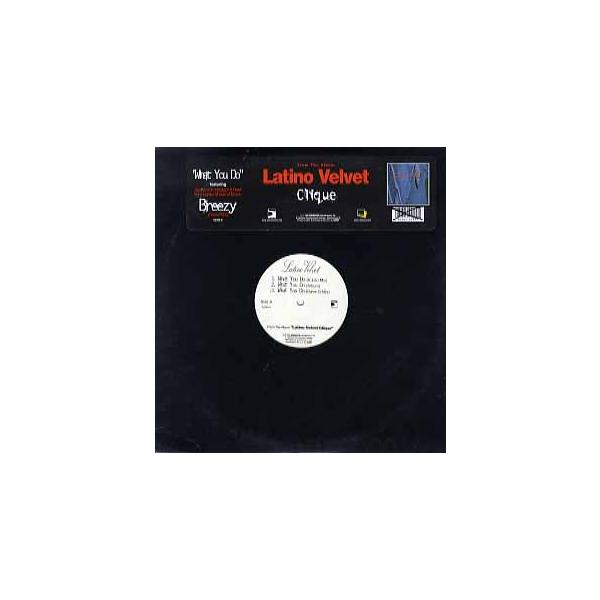 製造国 : US　　リリース年 : 1988　　レーベル : SWERVE ENT / WEA　　品番 : 54299-0　　　　奇跡のシールド!!ジャケステッカー有。US Org。ウェッサイDJなら誰もが1度はMix CDに収録したであろ...