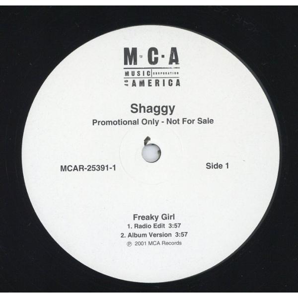 製造国 : US　　リリース年 : 2001　　レーベル : MCA　　品番 : MCAR-25391-1　　　　'01リリース作!! プロモオンリー盤がデッドストック入荷!! 大ヒット"Angel"、"Luv Me, Luv Me"を収録...