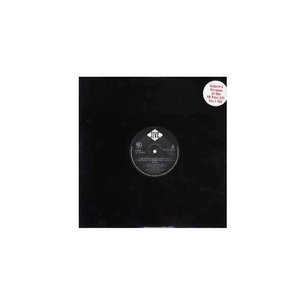 製造国 : US　　リリース年 : 1997　　レーベル : Unity Records / Jive　　品番 : UNITY 015TDJ　　　　ジャケステッカー有。UKの男性R&amp;BグループKaleefが97年にリリースした人気チ...
