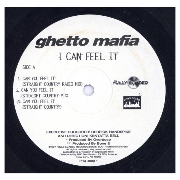 製造国 : US　　リリース年 : 1997　　レーベル : Down South Entertainment / Fully Loaded Records　　品番 : PRO 4003-1　　　　プチノイズ箇所有り。US Org。アトラン...