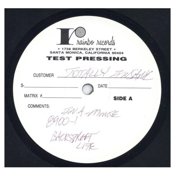 製造国 : US　　リリース年 : 1995　　レーベル : In-A-Minute Records　　品番 : INA8900-1　　　　スリ傷有るがプレイＯＫ。激レアなテストプレス。US Org。ベイの人気グループが'95にリリースした...