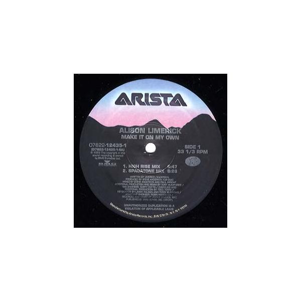 製造国 : US　　リリース年 : 1992　　レーベル : Arista　　品番 : 07822-12435-1　　　　B面ラベルに破れ有り。US Org。UK出身の女性シンガーが'92にリリースしたデビューアルバム"And Still ...