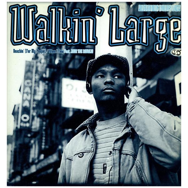 製造国 : GERMANEY　　リリース年 : 1995　　レーベル : Groove Attack Productions　　品番 : GAP 00101　　　　スリ傷有るがプレイＯＫ。Ger Org。Pete Rockが発掘したドイツの...