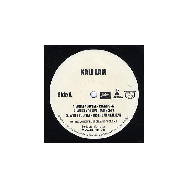 製造国 : US　　リリース年 : 2004　　レーベル : All About Entertainment Group　　品番 : AAE-001　　　　カリフォルニアの5人組「Kali Fam」の'04の2ndアルバム"How We L...