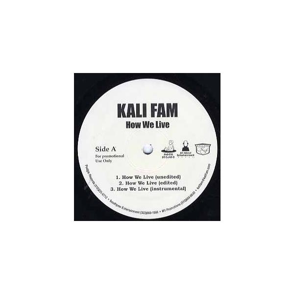 製造国 : US　　リリース年 : 2004　　レーベル : PUDGIE　　品番 : 8889-AAE002　　　　カリフォルニアの5人組「Kali Fam」の'04の2ndアルバム"How We Live"からのタイトルカット!! フリ...
