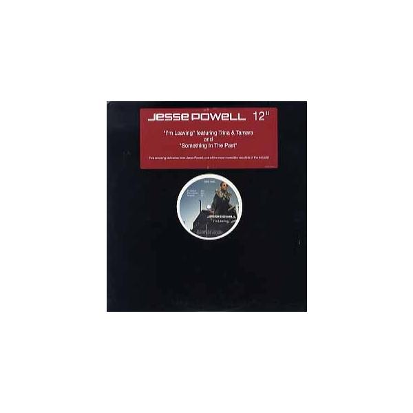 製造国 : US　　リリース年 : 2001　　レーベル : MCA　　品番 : MCAR-25448-1　　　　'01リリース作!! US Promo Only盤がデッドストック入荷!! "If I"に続くPromoが入荷！featは"W...