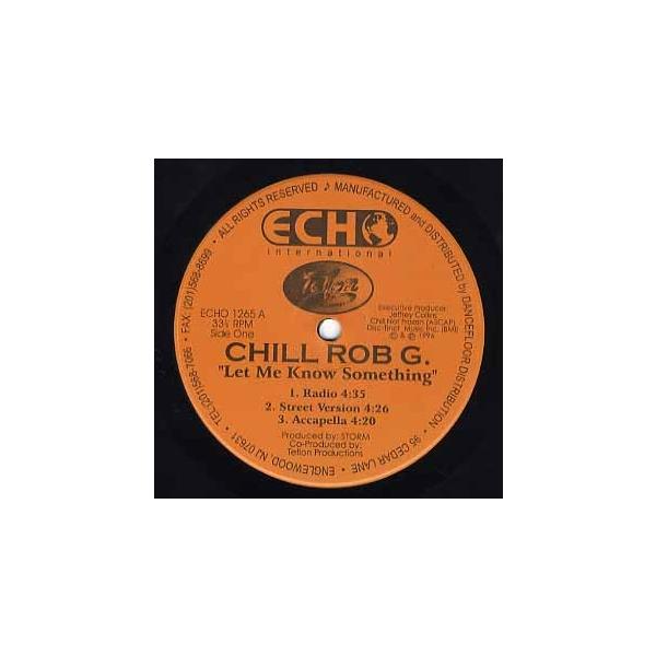 製造国 : US　　リリース年 : 1996　　レーベル : Echo International　　品番 : ECHO 1265　　　　スリ傷有るがプレイＯＫ。初期Wild Pitch Recordsを支えた人気MCが'96にEcho I...